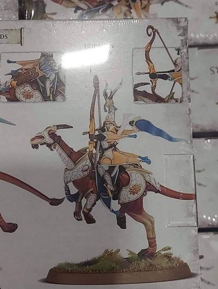 Kangourou Hunter & vampire lord | War of Sigmar : Warhammer 40000 + Age ...